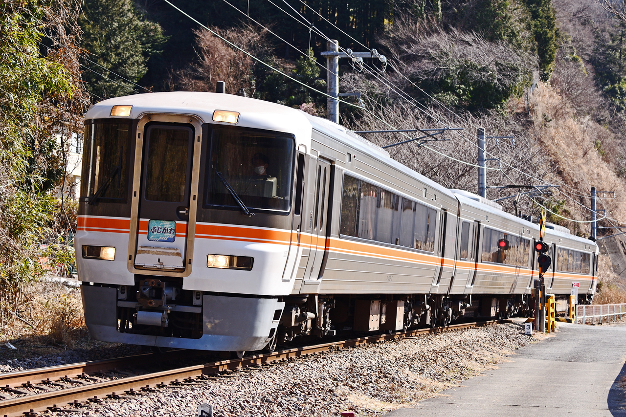 【アマレット】～鉄道写真～JR東海・373系 特急ふじかわ～